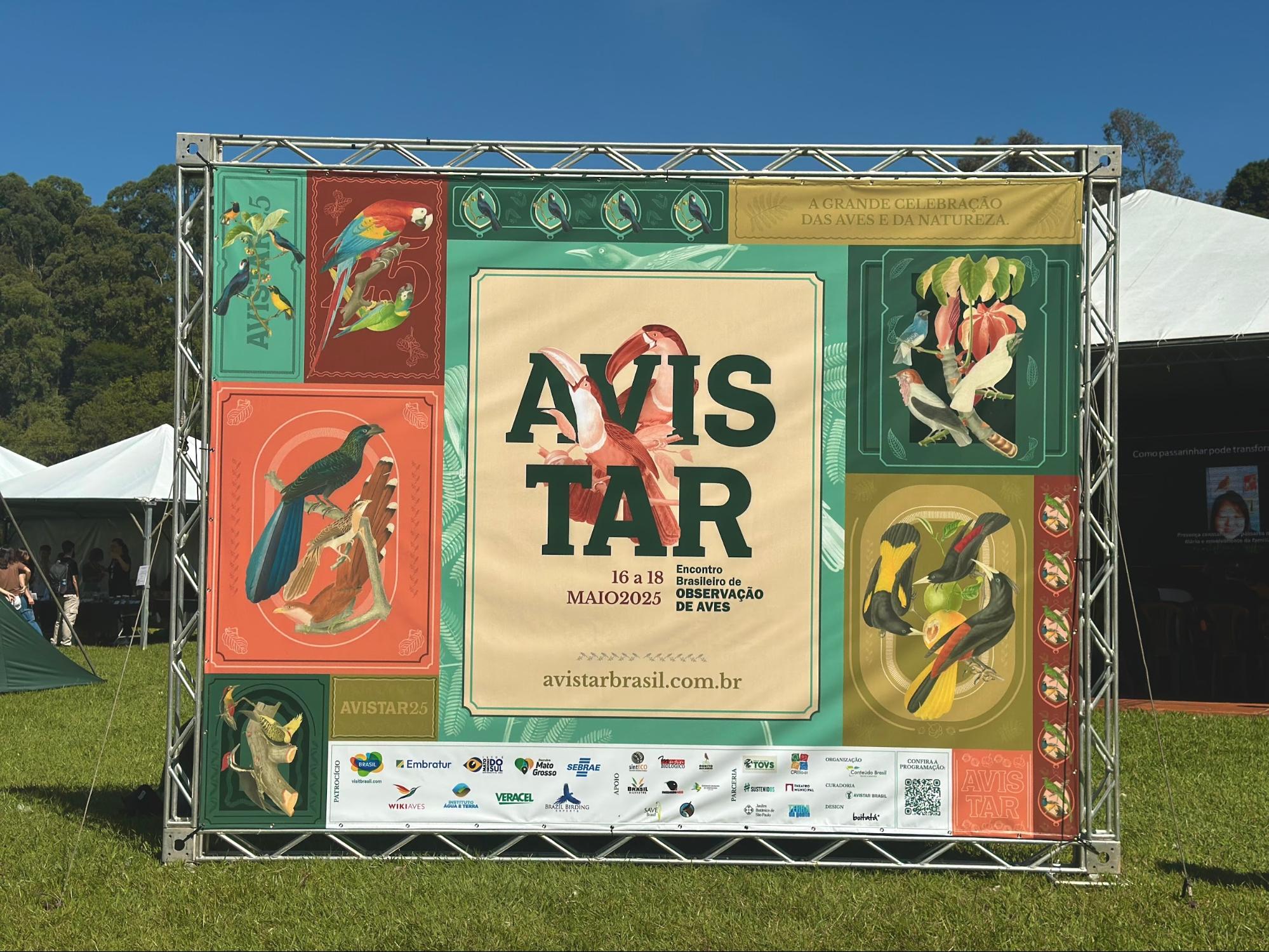 Avistar: o papel dos birdwatchers na conservação ambiental - Jornalismo ...
